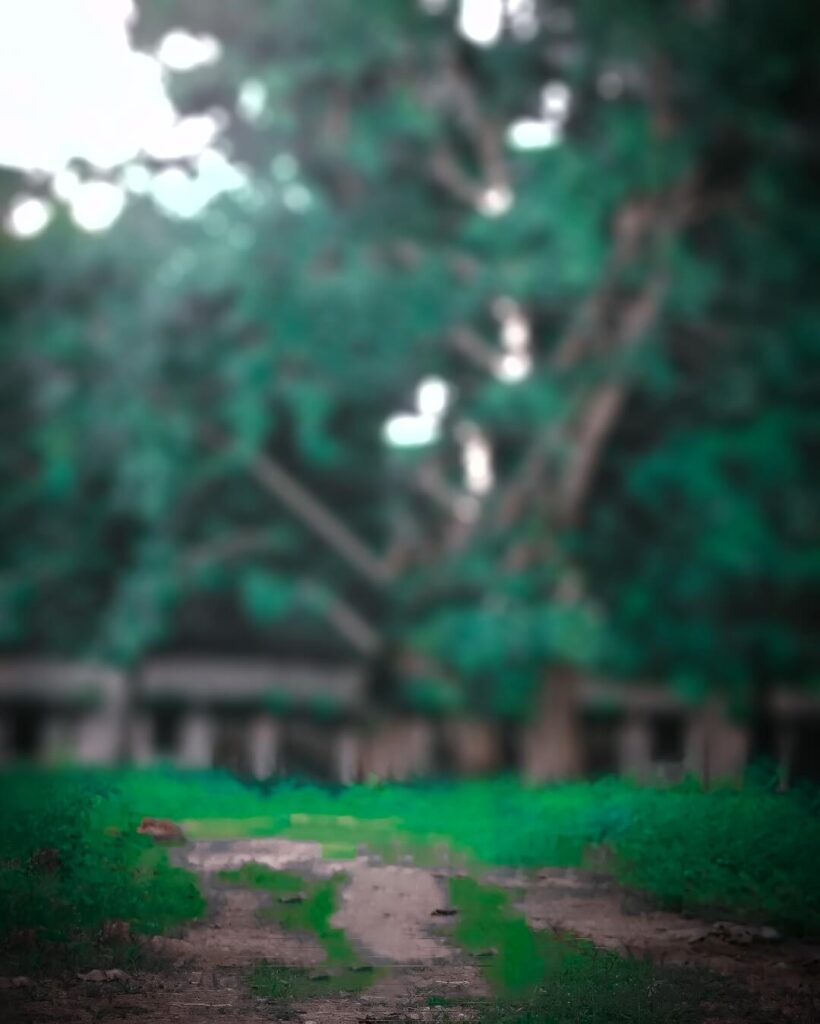 Lightroom background png store